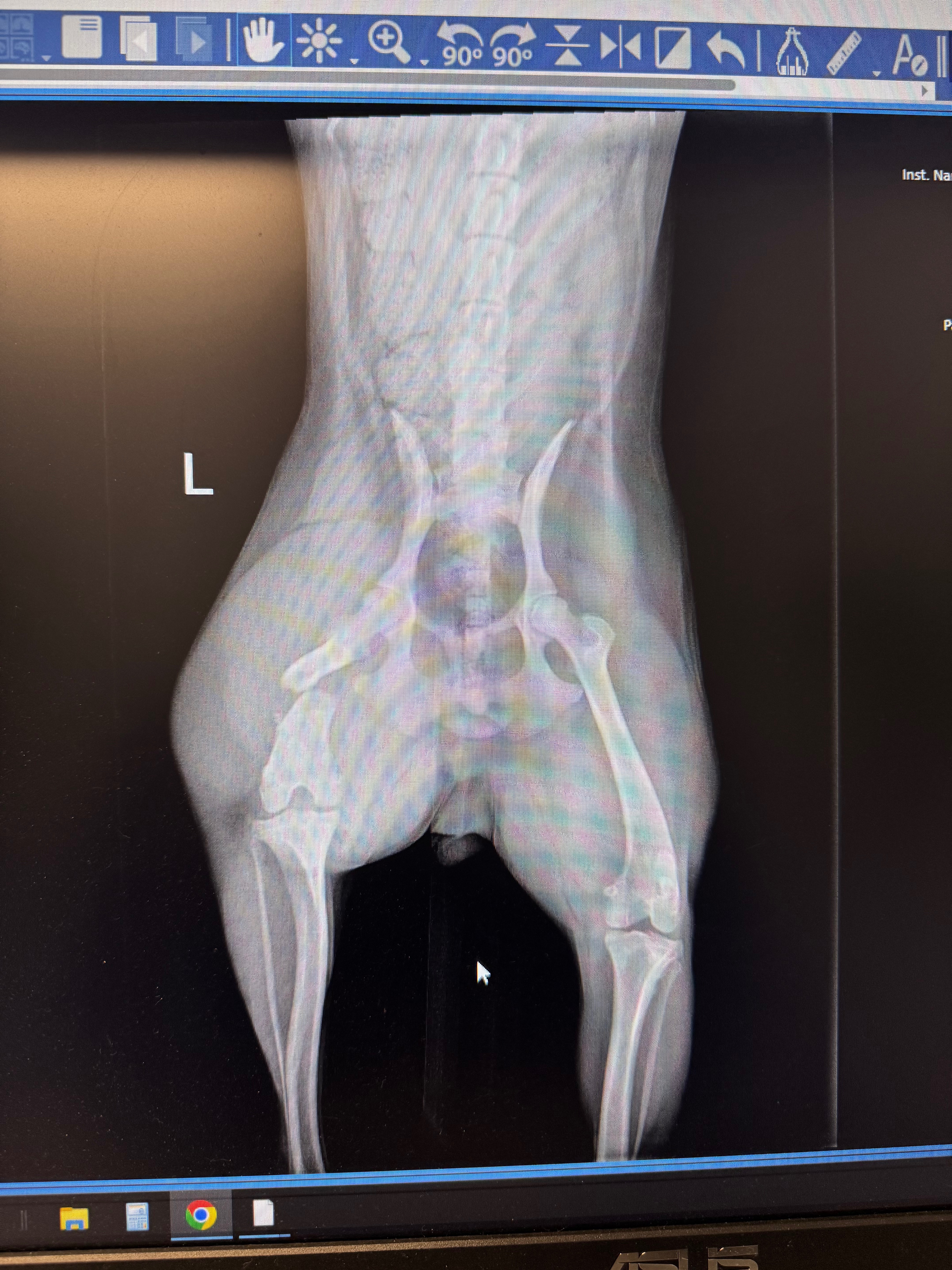 Fundraiser by Alysha Hanley : Help Oliver Heal After His Injury