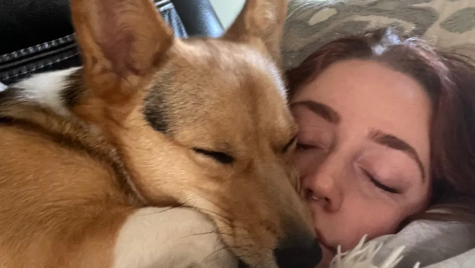 Fundraiser by Carly Bridgman : Help WillowBee Walk Again