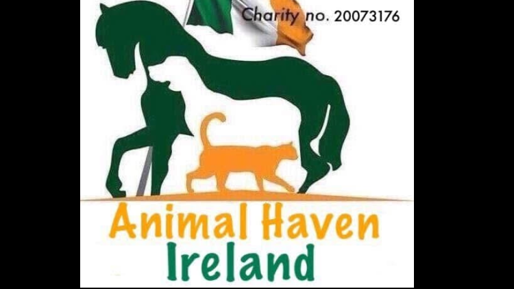 Fundraiser by Josh Greaney : Animal haven Ireland ️