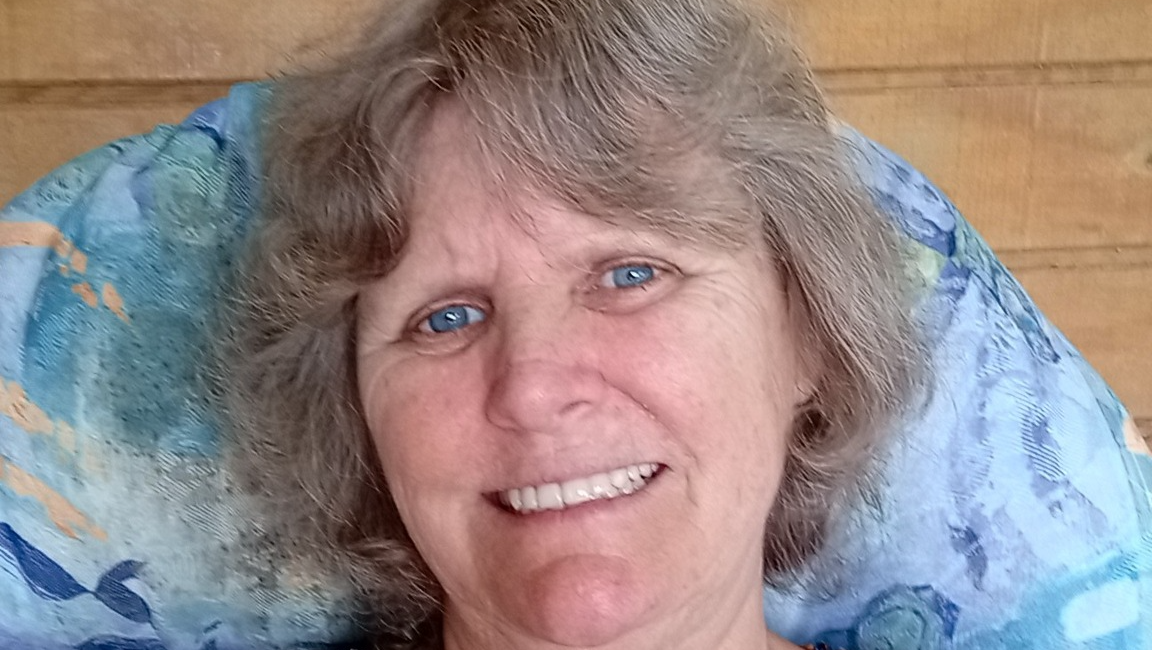 Fundraiser by Tracy Starnes : Support Sue's Battle Against Cancer