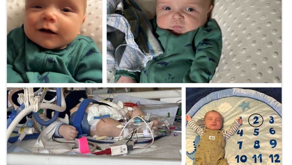 Fundraiser by Angelina Grego : Justice For Mikey and help his mama ...