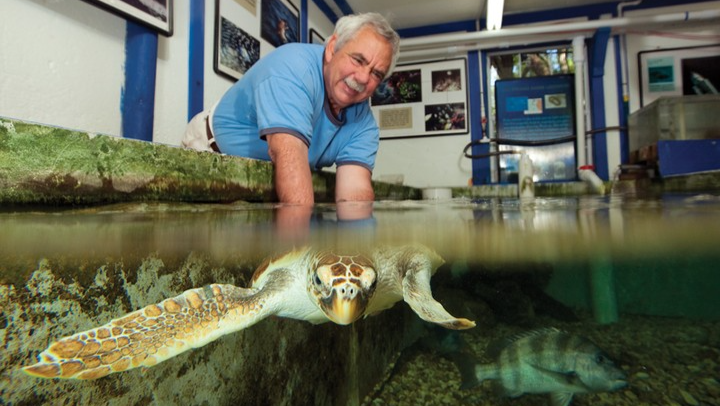 Fundraiser by Cypress Rudloe : Support the Sea Turtle Fund at Gulf ...