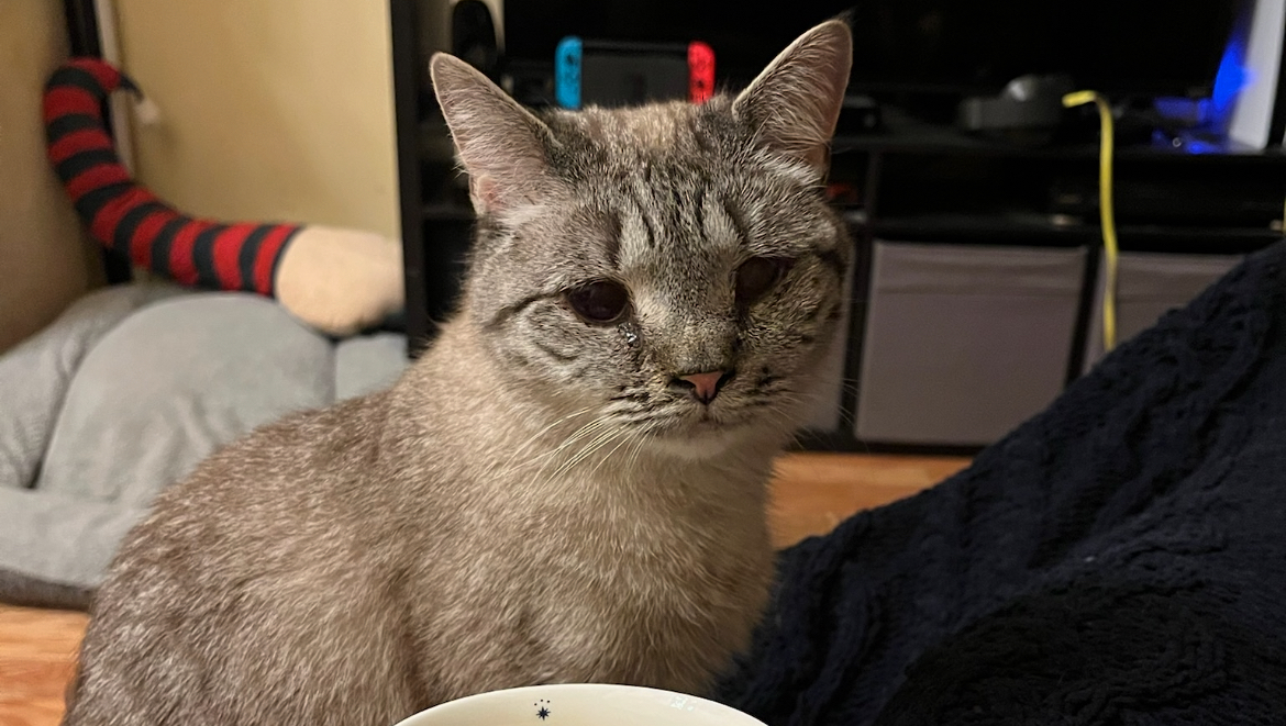 Fundraiser for Katie Hatfield by Alexis Kennedy : Donate to Ease Katie ...