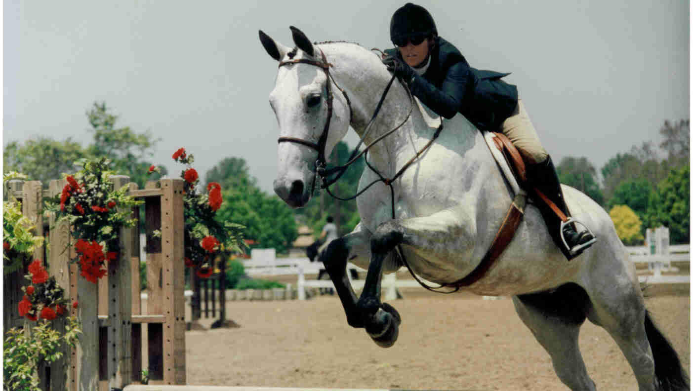 Fundraiser by Patricia Lincourt : Lesson Horse Retirement & Medical ...