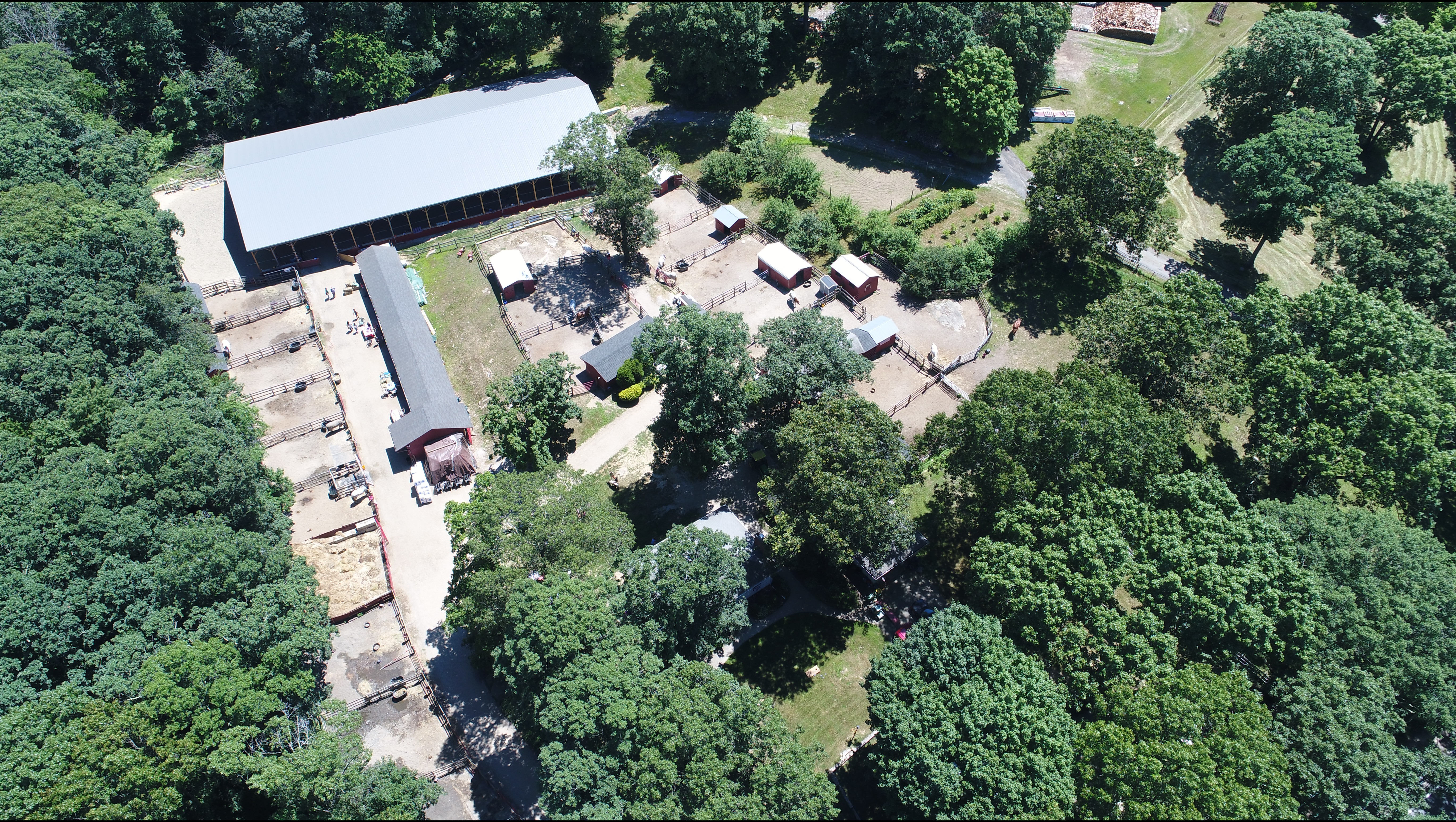 Fundraiser by Rachel Walshe : Support Faith Hill Farm's Legal Battle