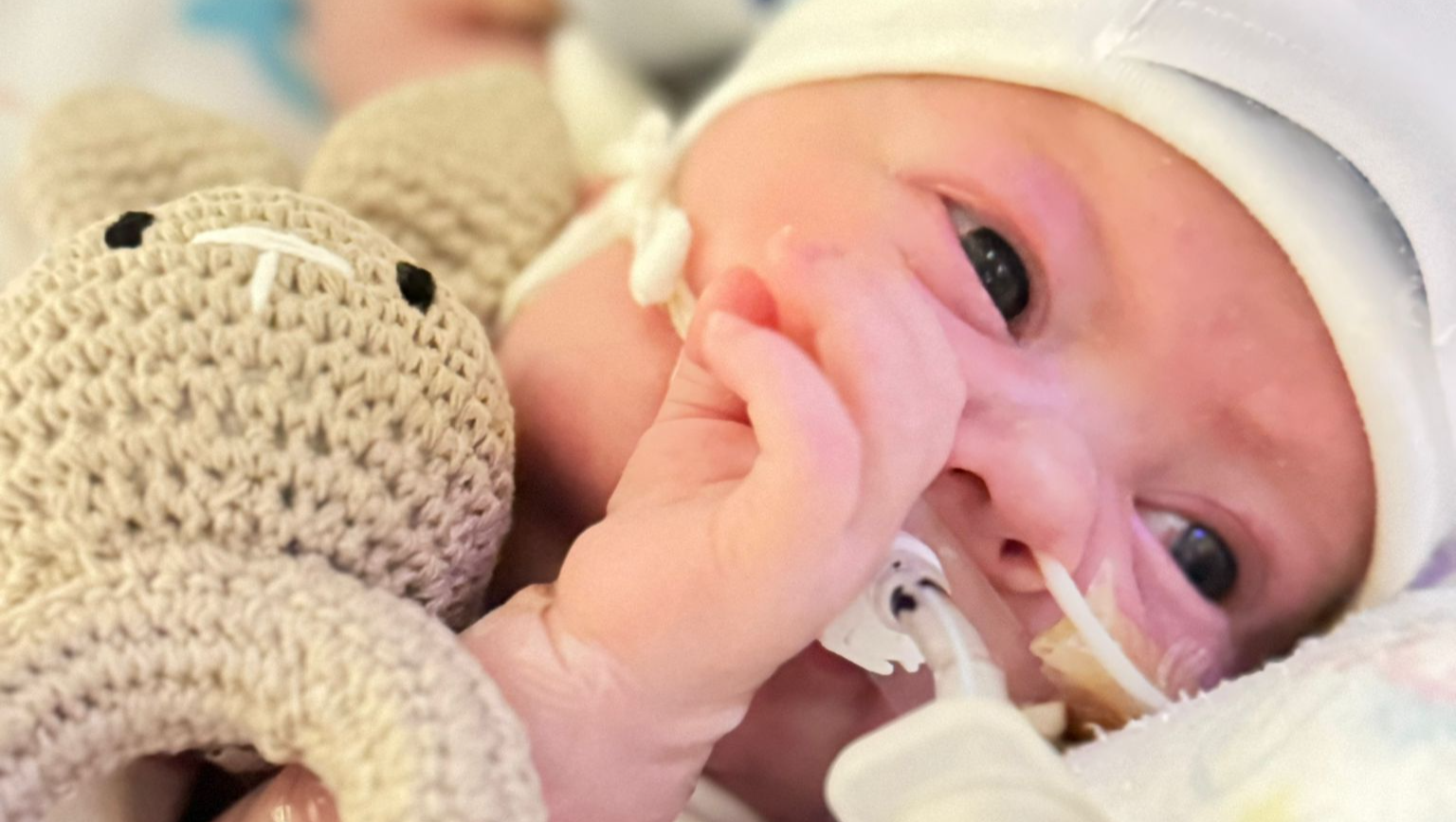 Fundraiser by Anthony and Leanne Flannigan : In Memory of Ethan Anthony ...