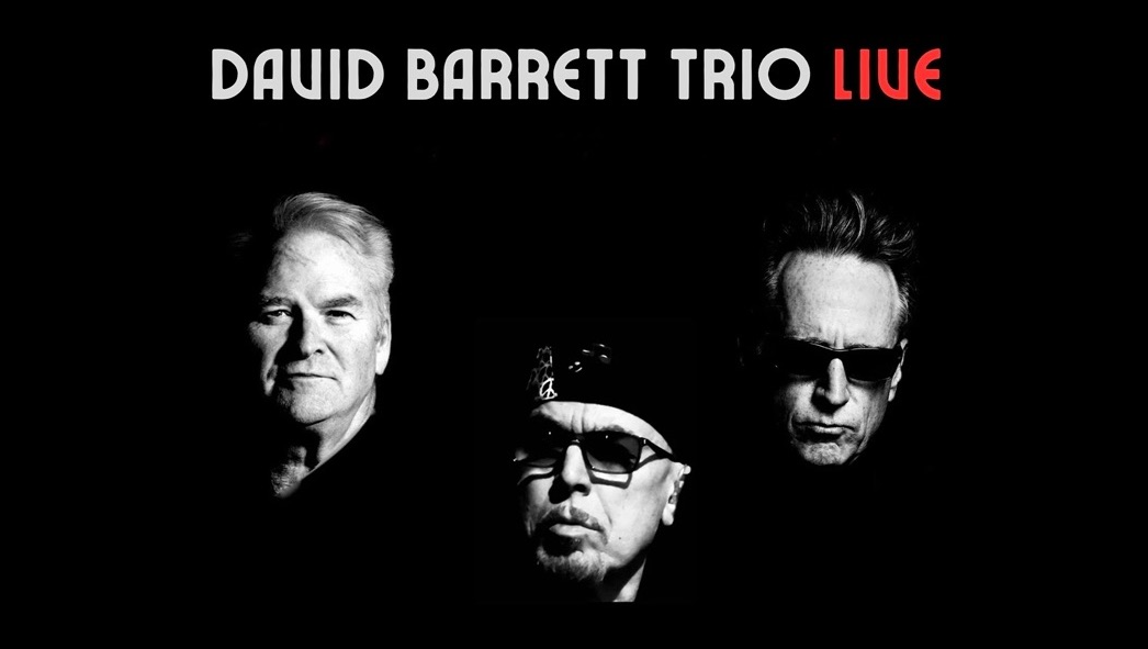 Fundraiser by David Barrett : David Barrett Trio Live Vinyl