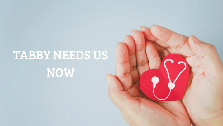 Fundraiser for Nicholas Pinkert by Mikayla Tirrell : Support Tabby’s Recovery and Medical Expenses