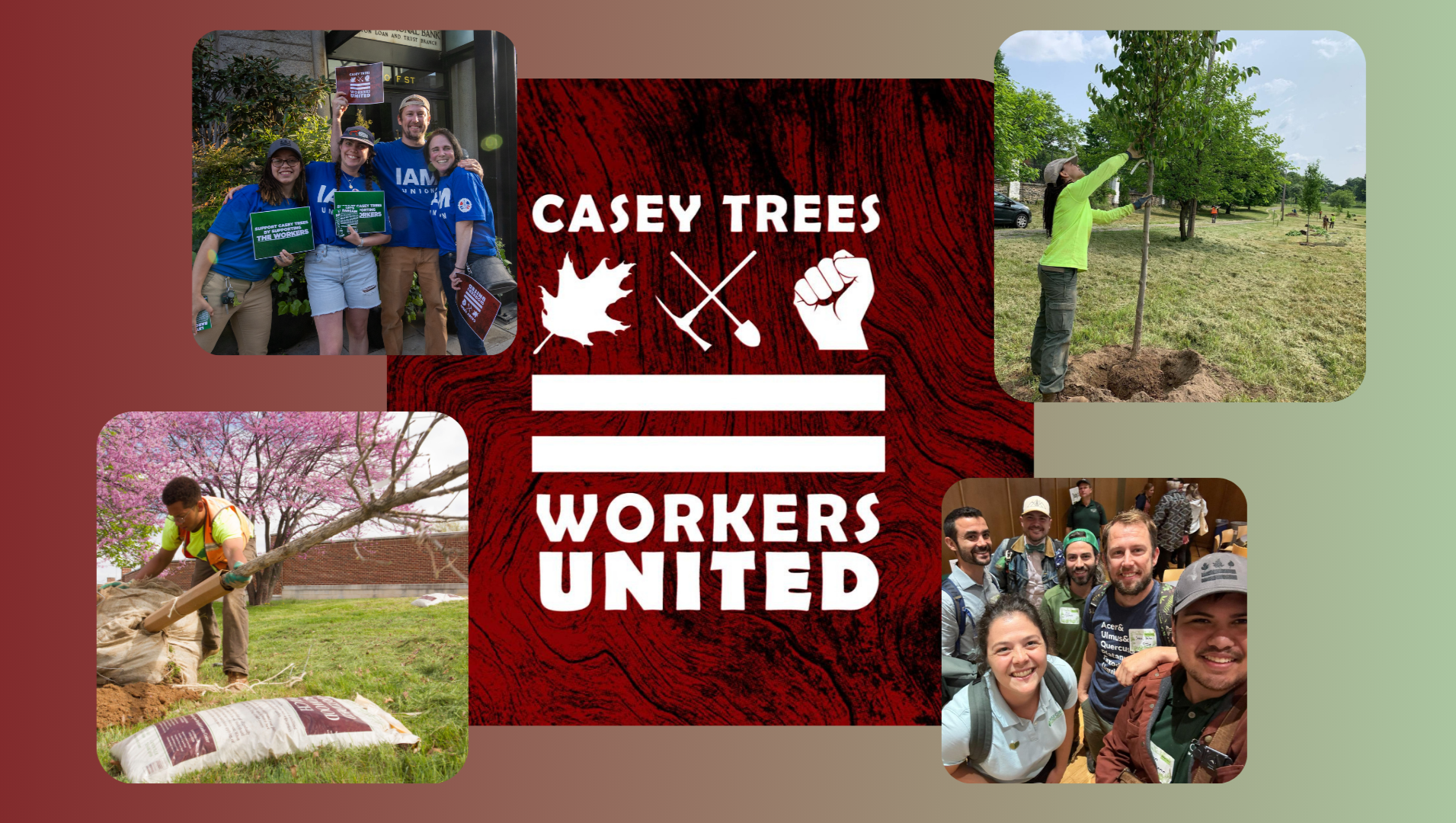 Fundraiser by Casey Trees Workers United : Help Casey Trees Workers ...