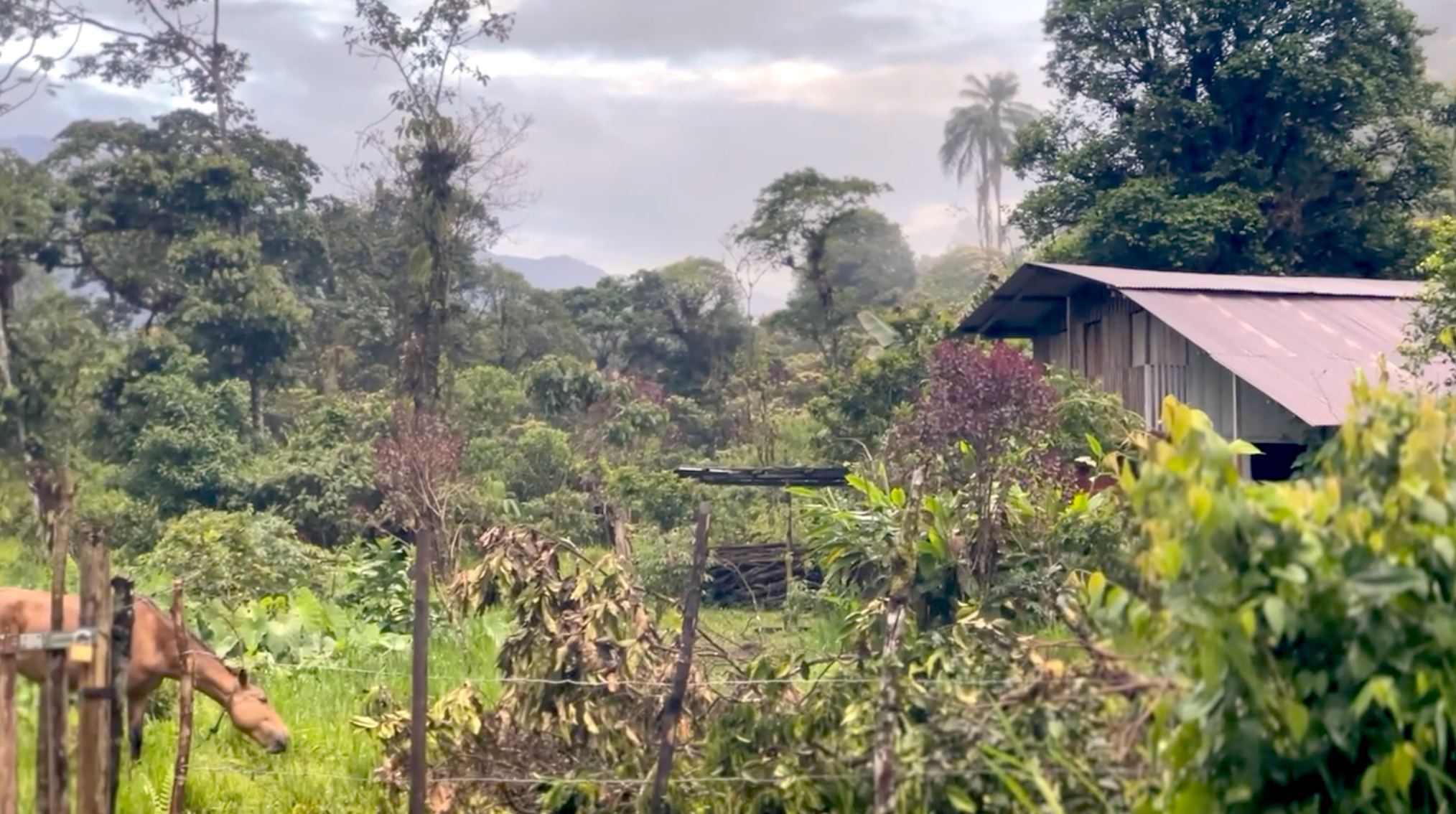 Fundraiser by Sandra ten Zijthoff : Building the sanctuary we needs to ...