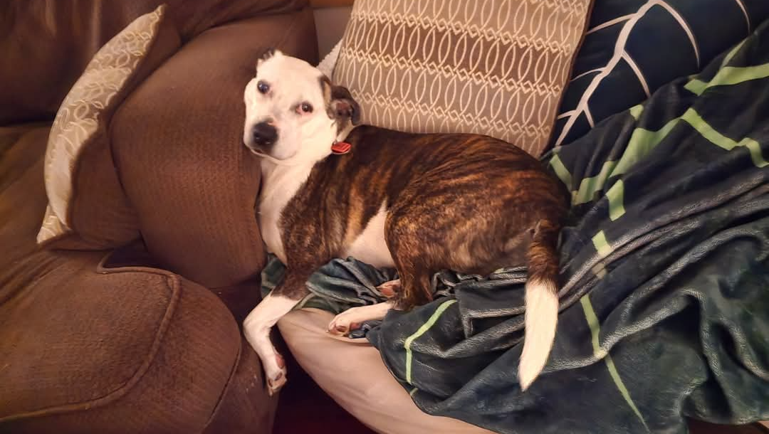 Fundraiser by Rachael Marie Rice : Support Kiri's Journey to Recovery