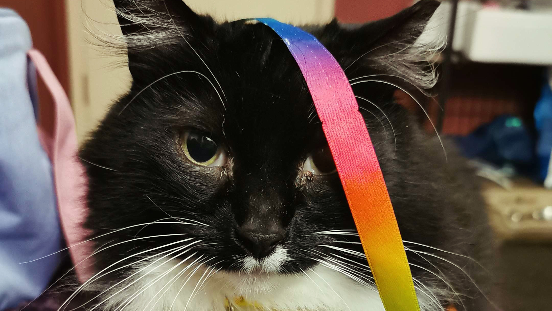 Fundraiser for Roger Larocque by Harley S : To Moro - Need funds for ...