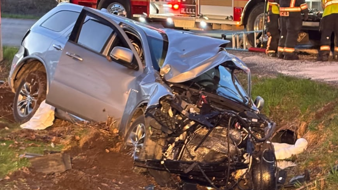 Fundraiser by Jessica Stoltz : Support Santanna's Road to Recovery