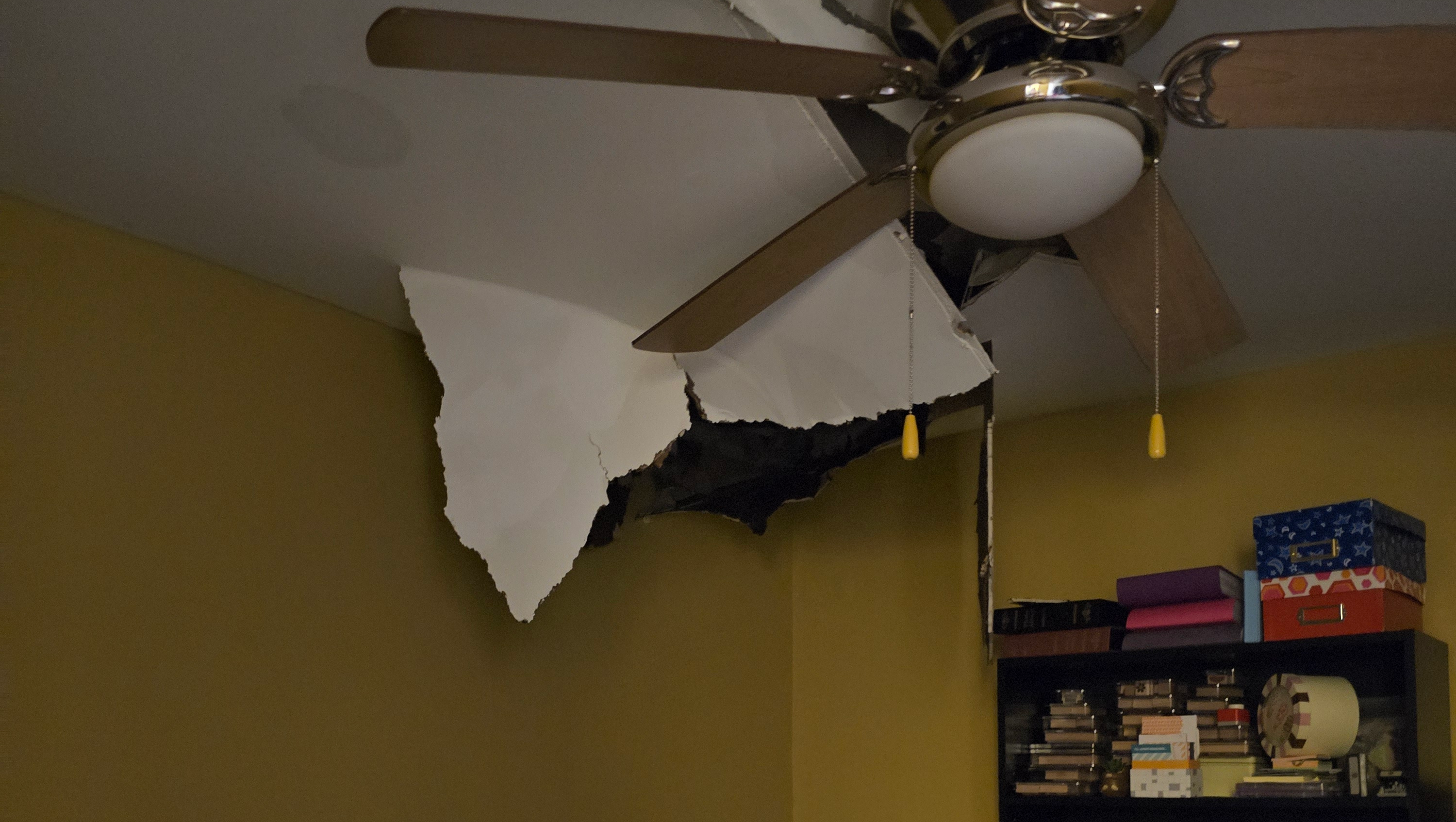 Fundraiser by William Spitzig : Support Bill & Jenn's Roof Replacement