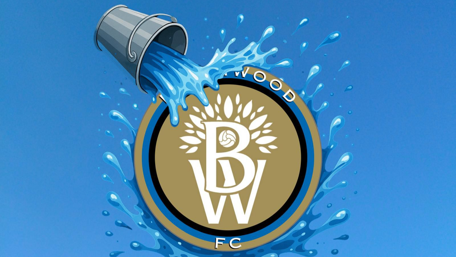 Fundraiser by Birchwood FC : BWFC Manager Ice Bucket Challenge