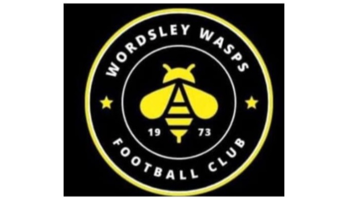 Fundraiser for Stuart Billingham by Natasha Gordon : Wordsley Wasps ...