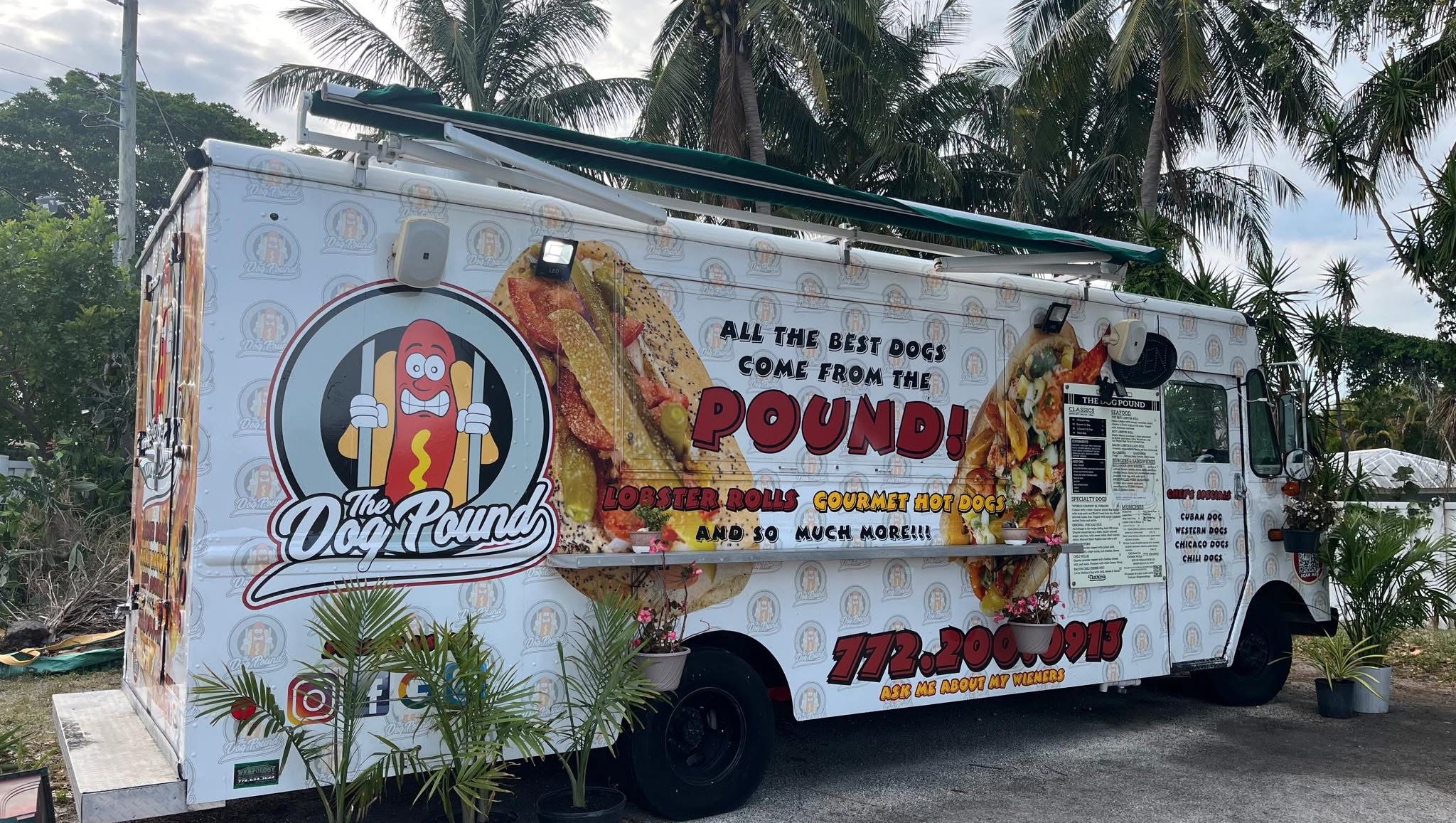 Fundraiser by Chrissy Hawkins : Support The Dog Pound: Keep Us Open