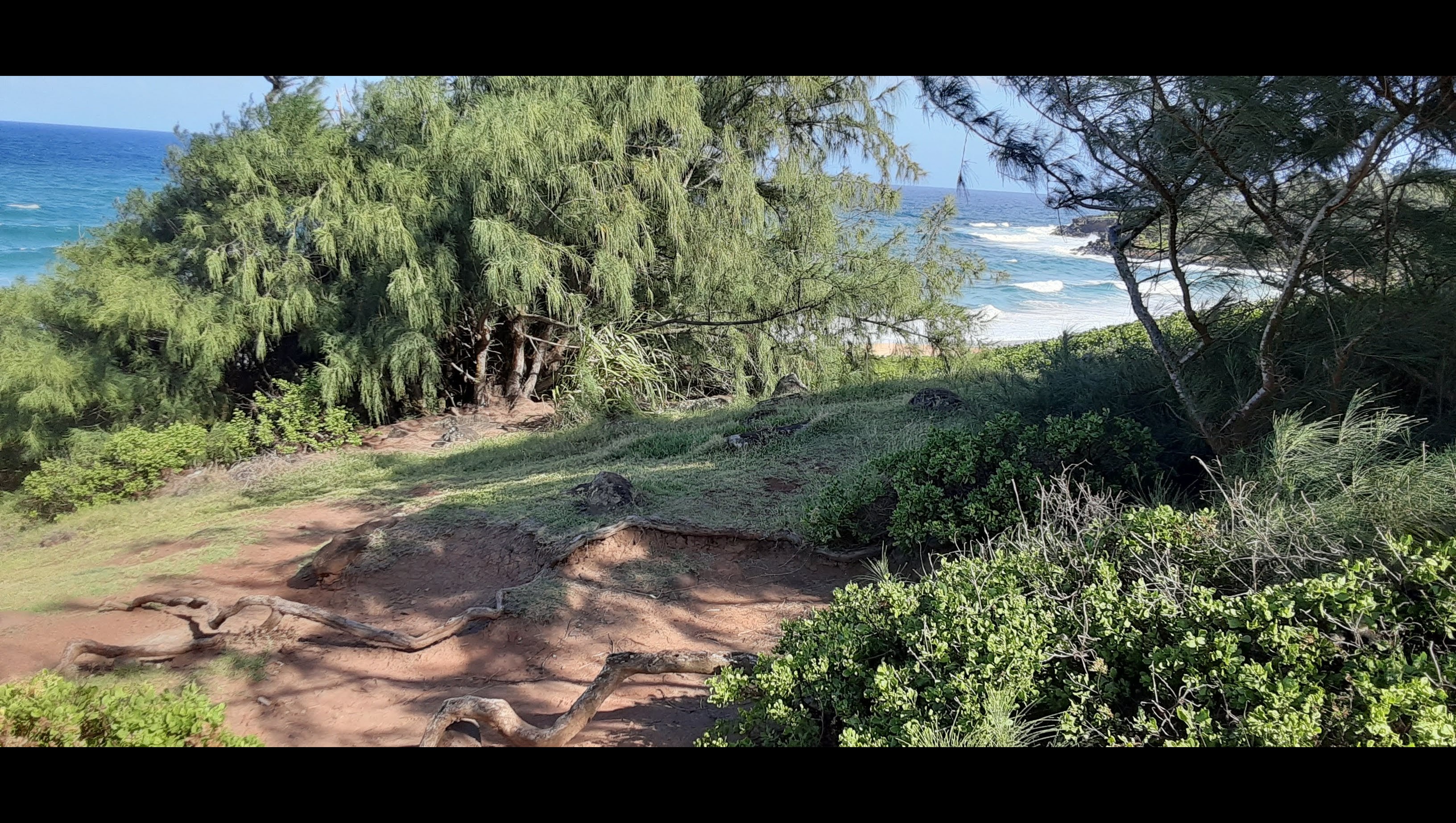 Fundraiser for Moira Jordan by suni smith : Support Moira & Rafa During ...