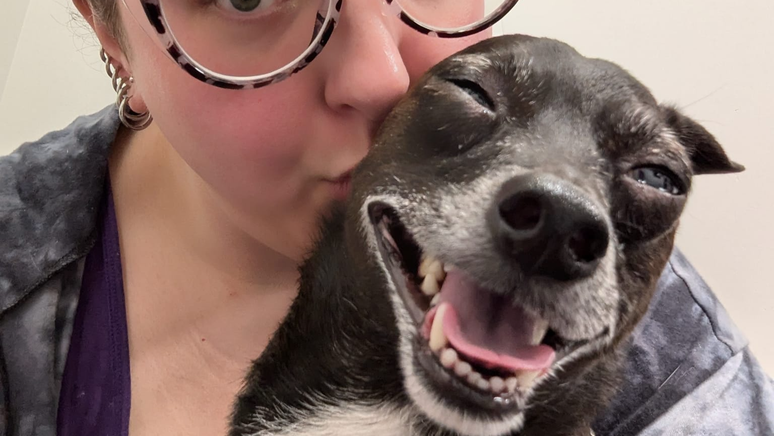 Fundraiser by MaryElizabeth Grey : Saving Iggy's Spirit: Fund Our Brave ...