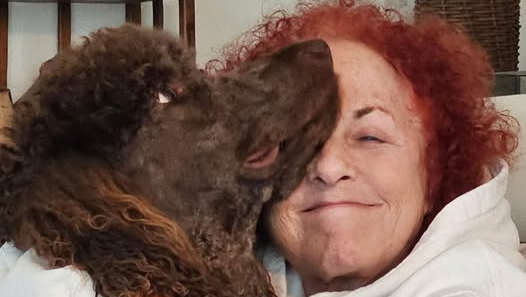 Fundraiser by G Sanborn : Honoring and Celebrating the Legacy of Lynn ...