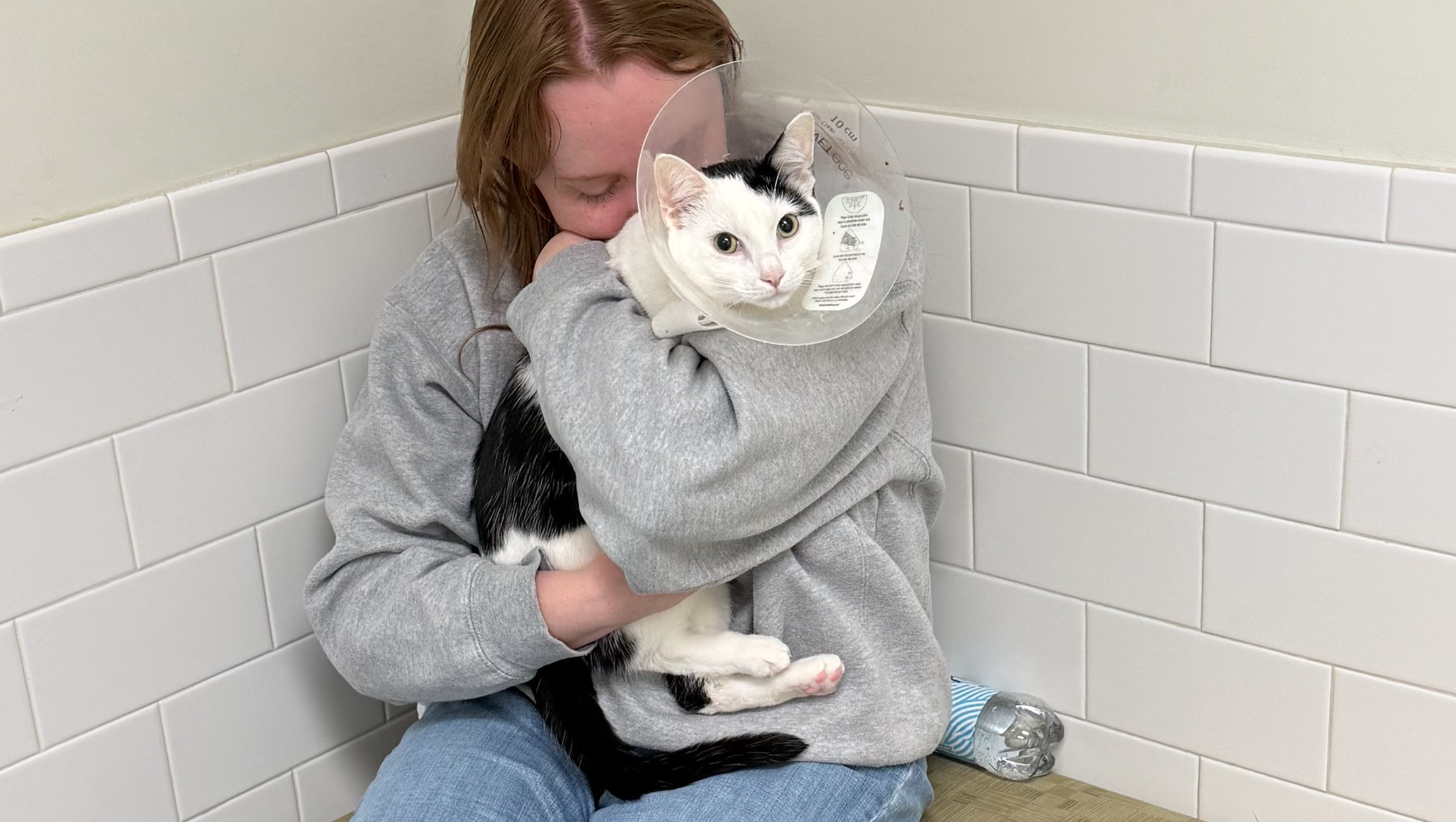Fundraiser by Mya Martin : Support Holstein's Life-Saving Treatment