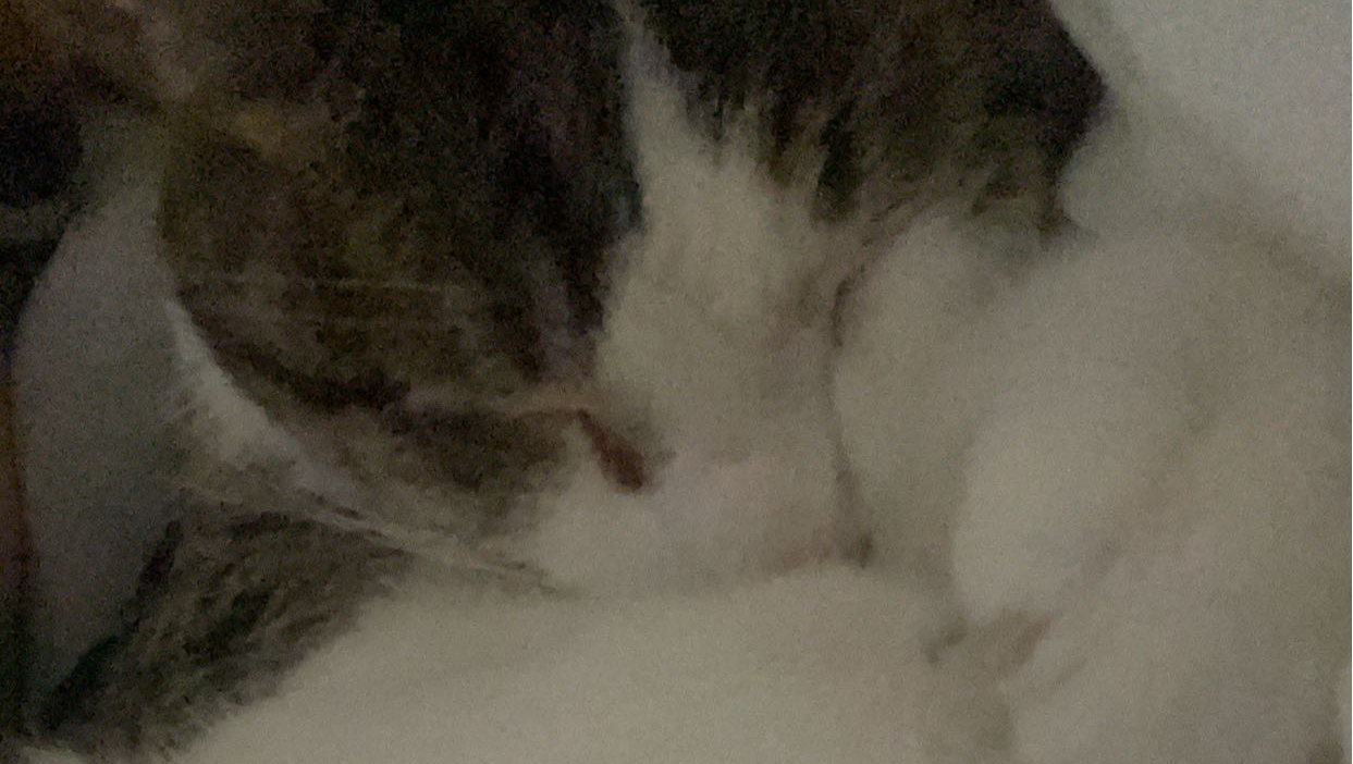 Fundraiser by Emily Olmstead : Geo's Farewell