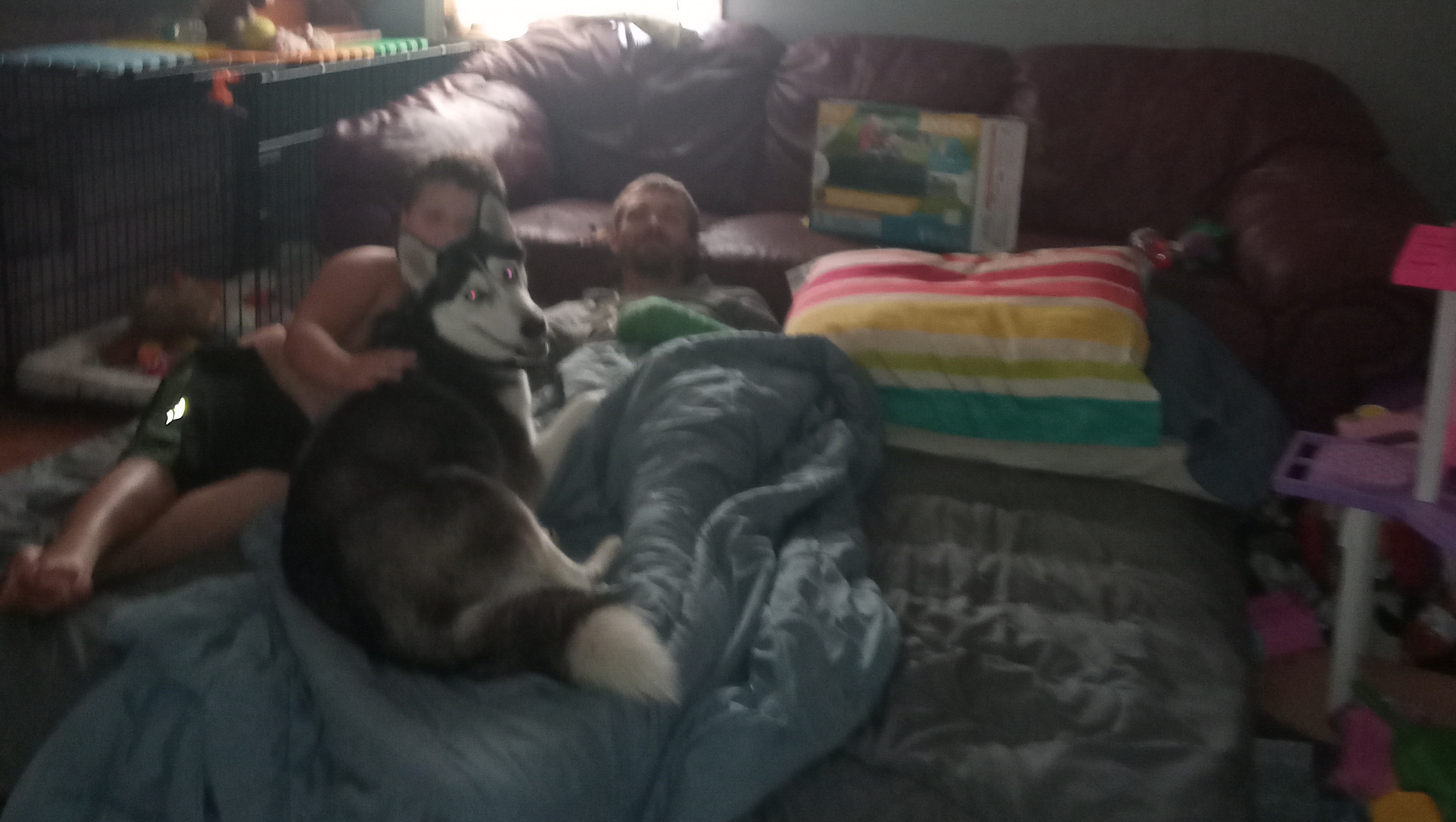 Fundraiser by Edward Mears : Help Save Oreo: Licence & Vaccines Needed