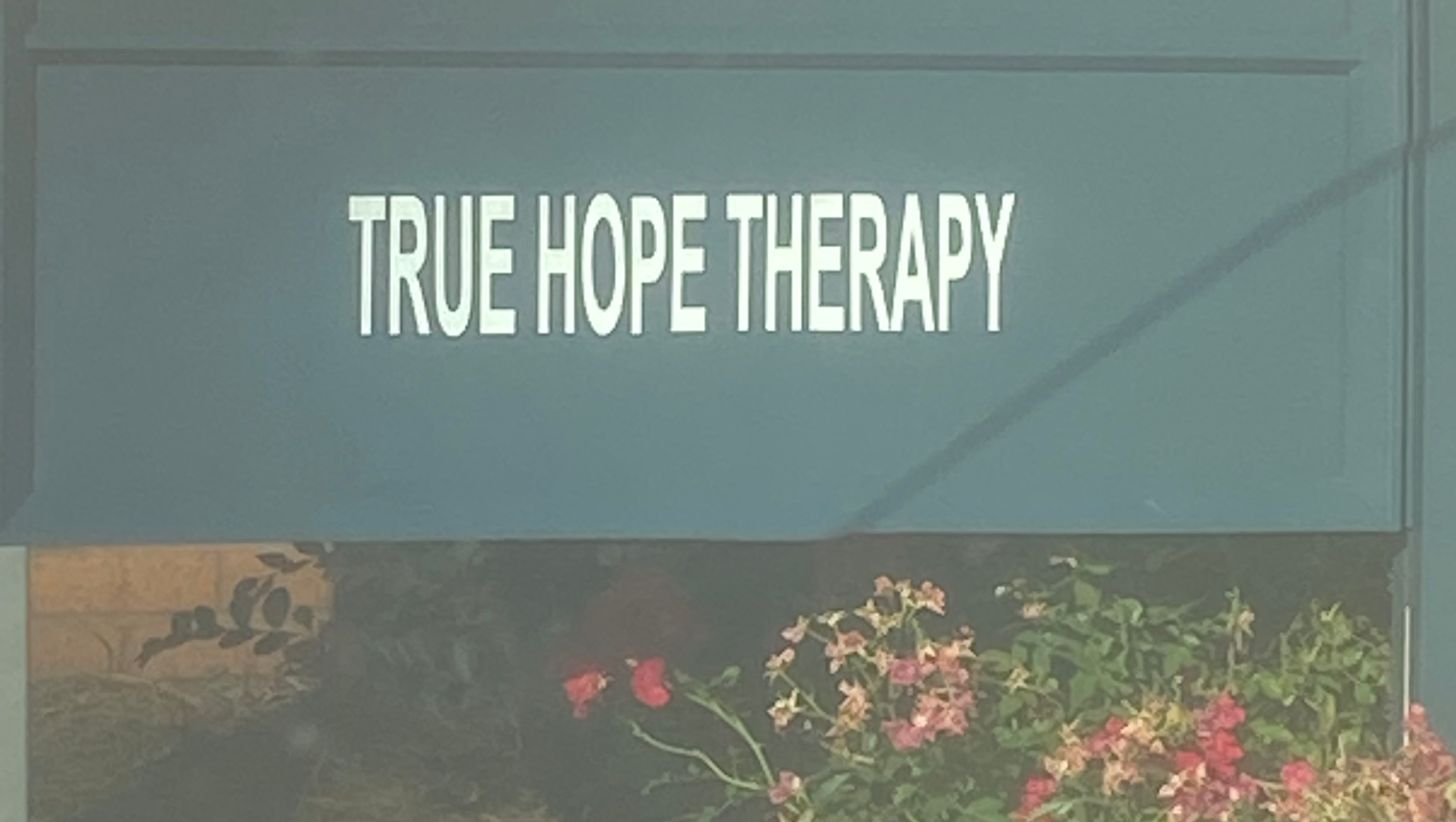 Fundraiser by LaKeisha Bryant : Help True Hope Therapy Expand Services