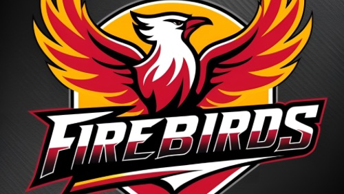 Fundraiser by Juan Miranda : Support Firebirds Baseball Teams' Season