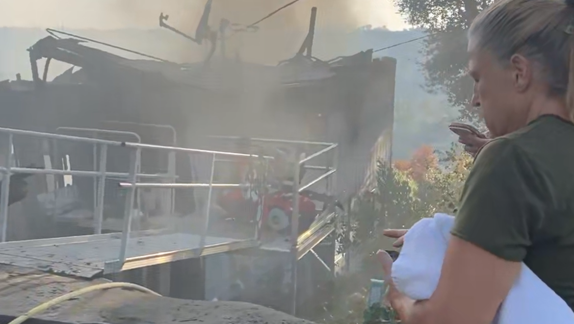 Fundraiser for Nickie Lamm by Jennifer Faria : Help the Lamm Family ...