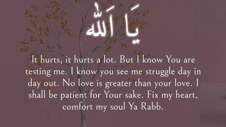 Fundraiser by MOHAMMED SAQIB AHMED : In the memory of, my beloved ...