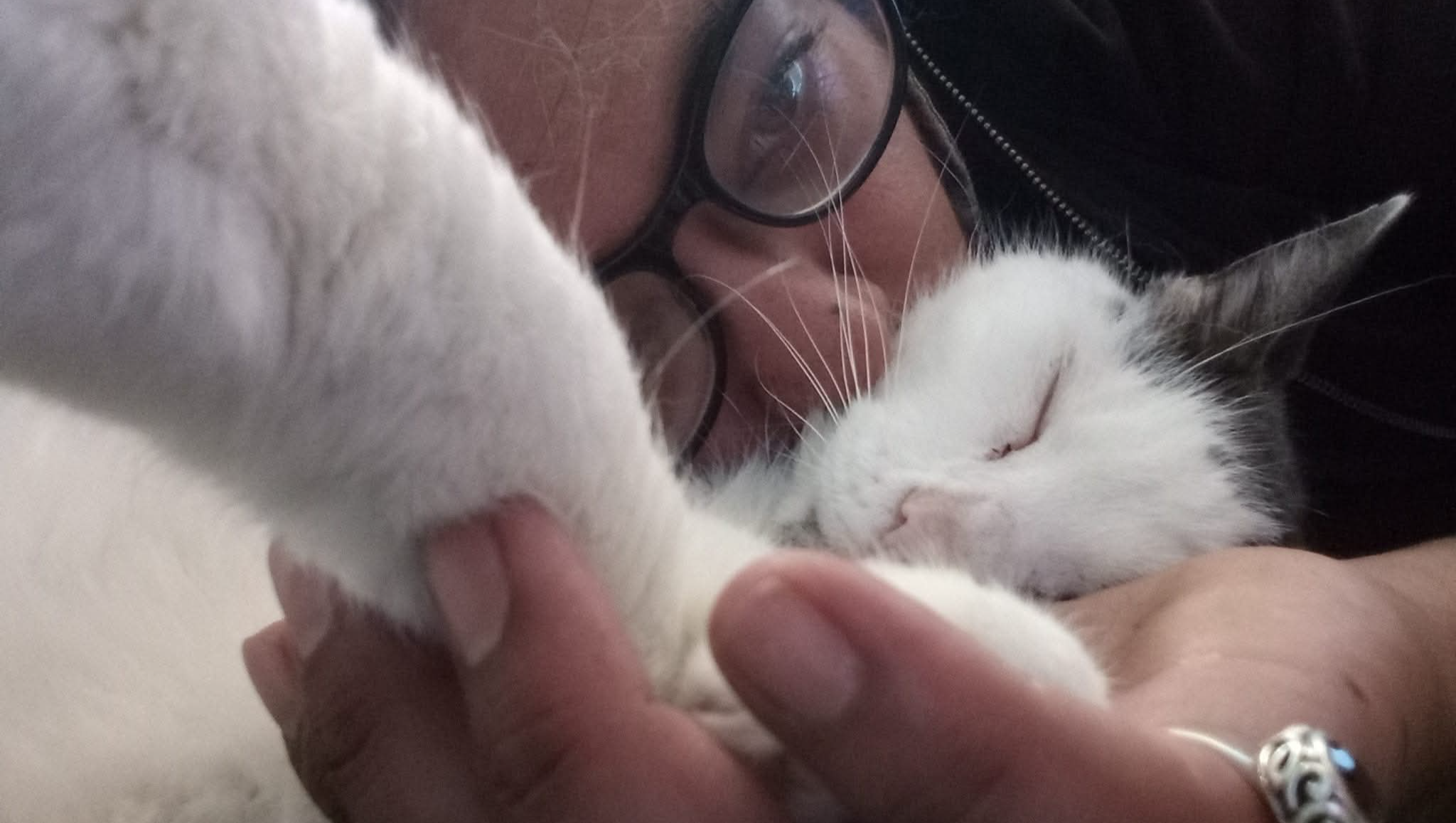 Fundraiser by Sumintra Geerah : Help Morticia and Owner Keep Their Home