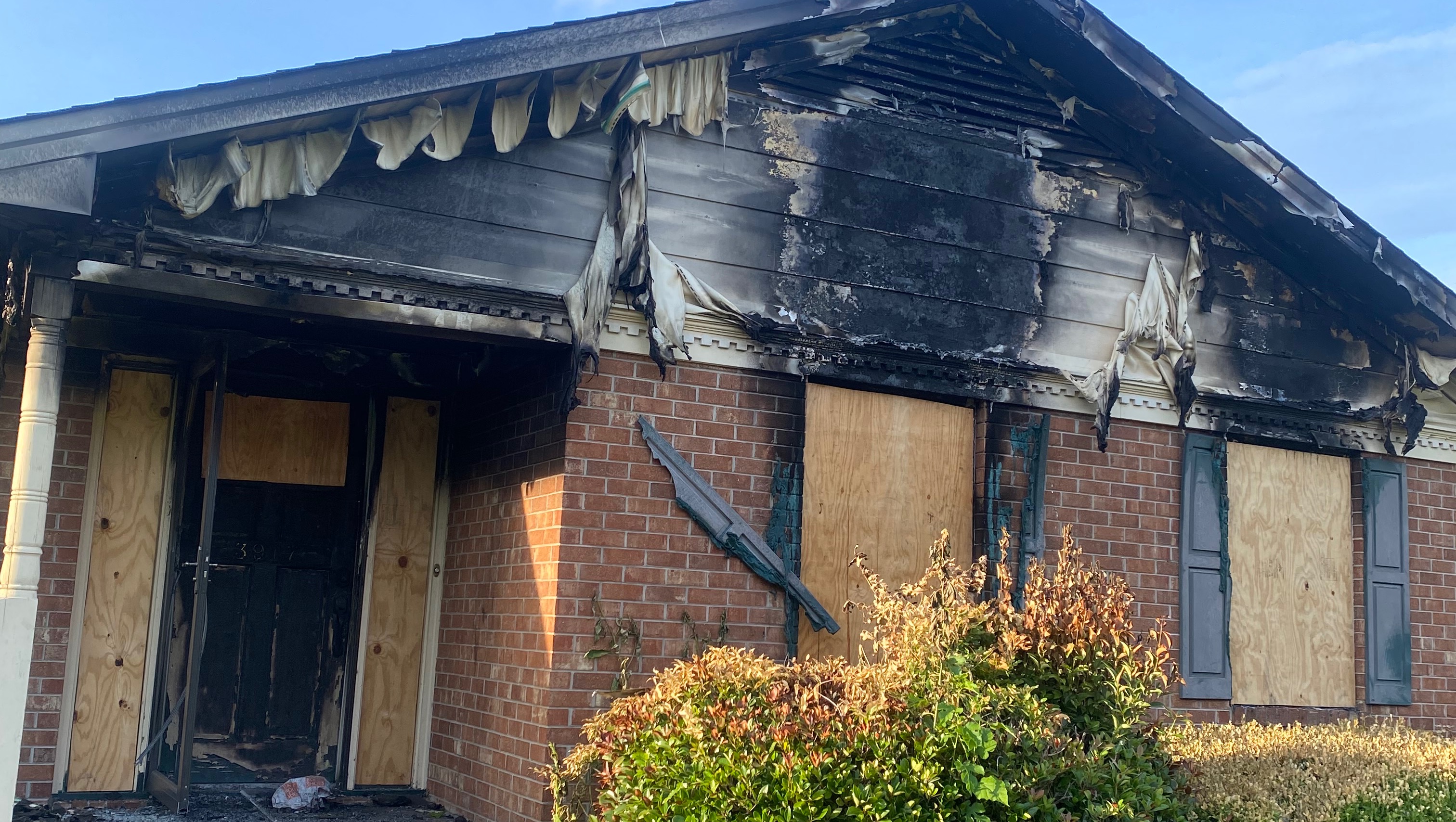 Fundraiser for Alisha Fisher by Elizabeth Puttick : Help Alani and ...