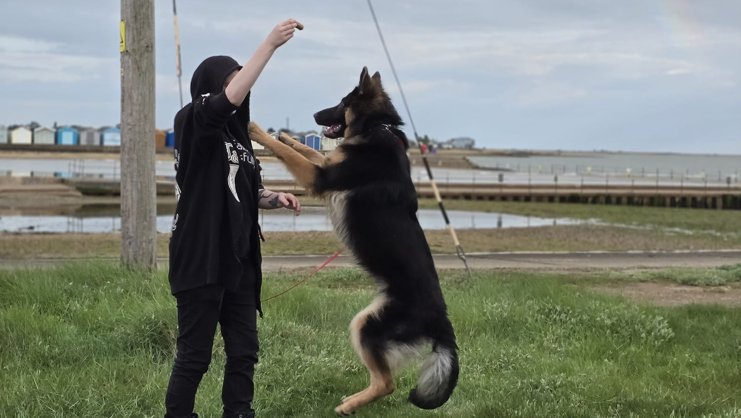 Fundraiser by Rylee Ramsey : Reactivity Training