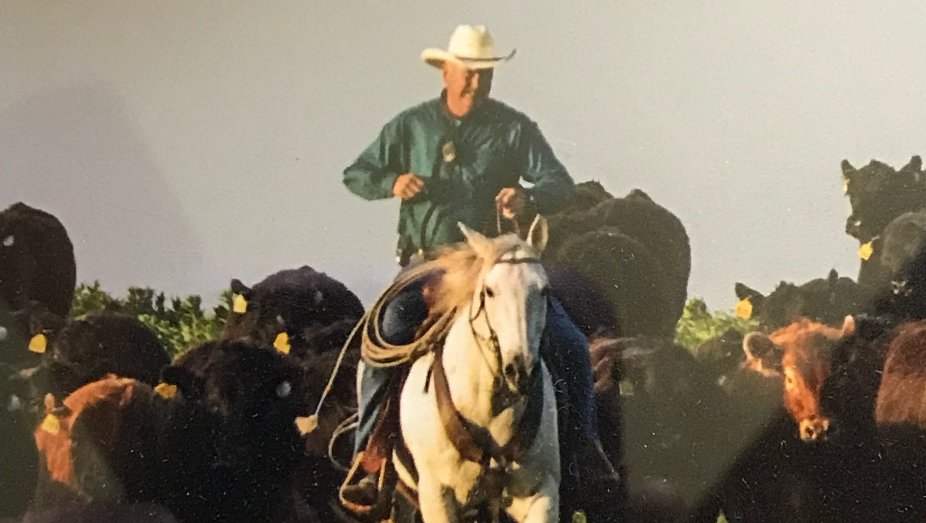 Fundraiser for Cindy Peterson by Kennedy Dragonas : Help Support Randy Peterson and His Family