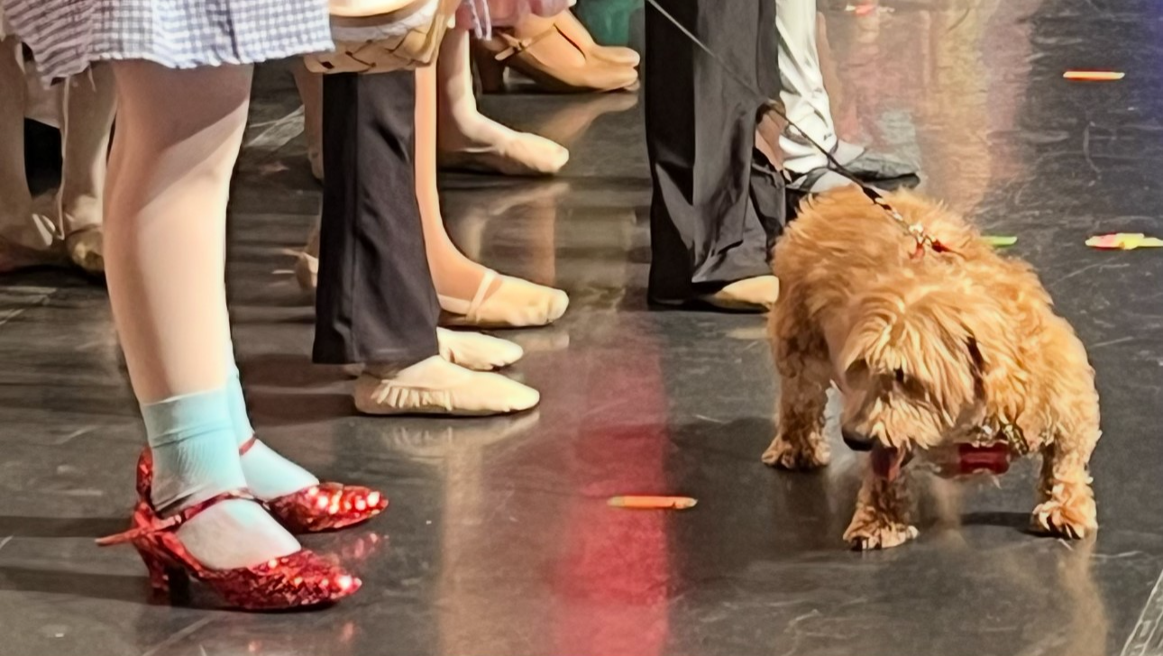 Fundraiser for Mary Anne Mazzio by Heather Leeper : Keep the Spotlight ...