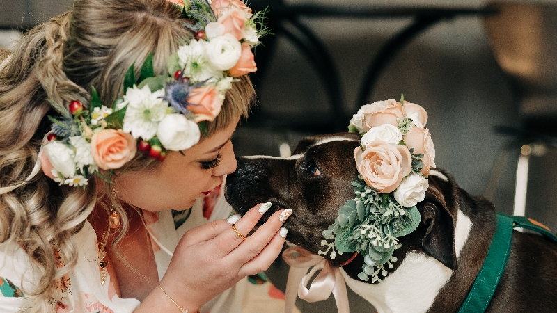 Fundraiser by Roxie Atkinson-Olson : Help Us Afford Roxie's Lifesaving ...