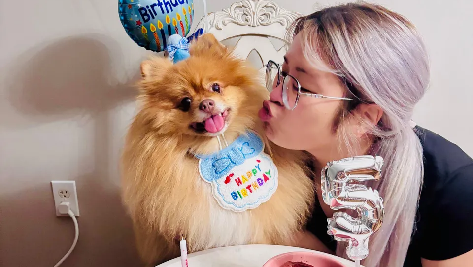 Fundraiser by Vivi Nguyen : Support Mugi's Recovery and Choco's Care