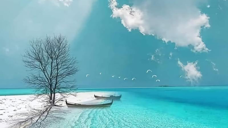 Fundraiser by Caryn Howard : In loving memory of Darrell Saville