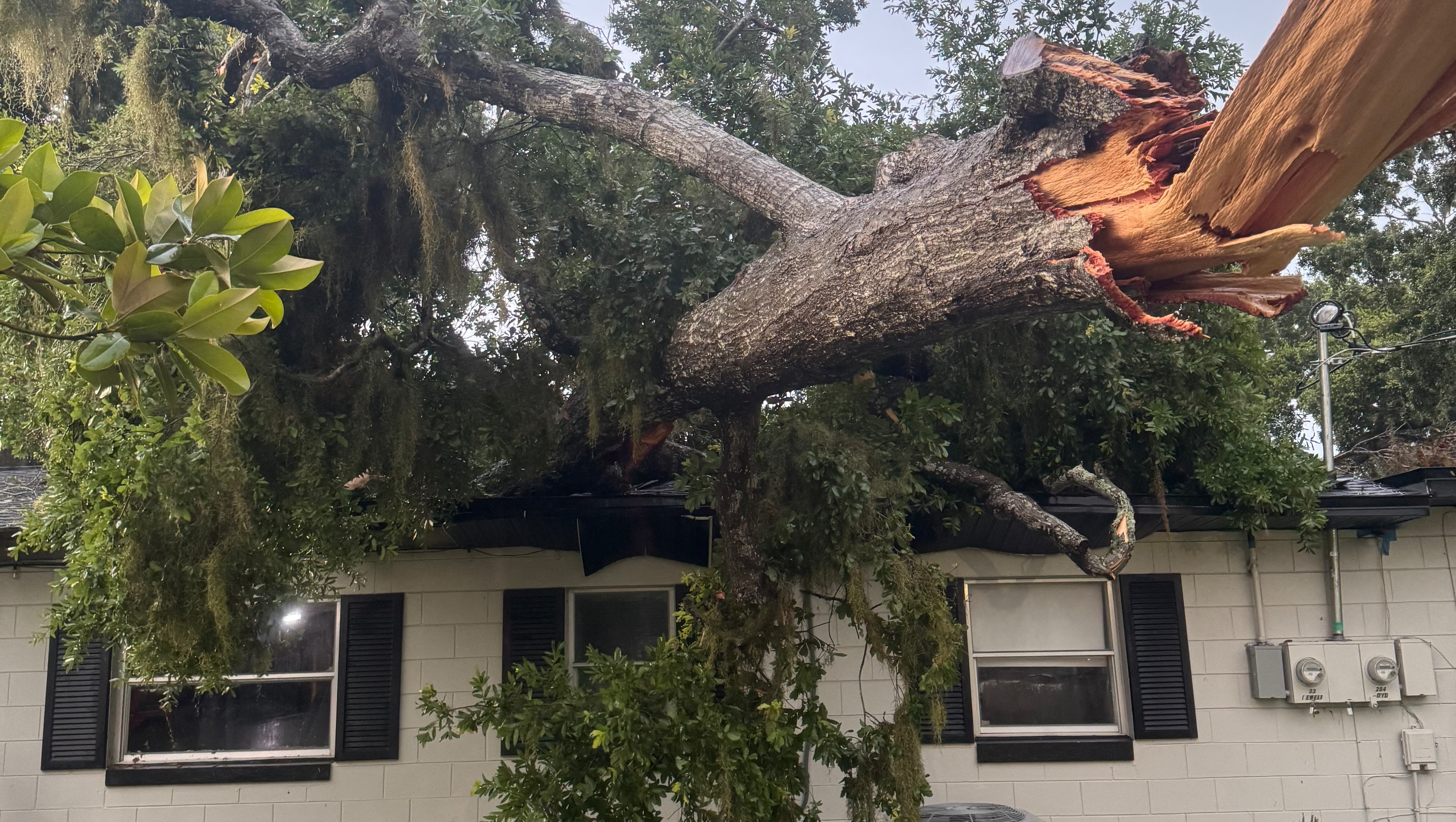 Fundraiser for Carson Roberge by Evita Ball : Twice Struck: Help ...