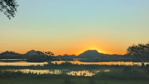 Fundraiser by Eileen Daniel : Beaufront First School, UK for Tigerberg ...