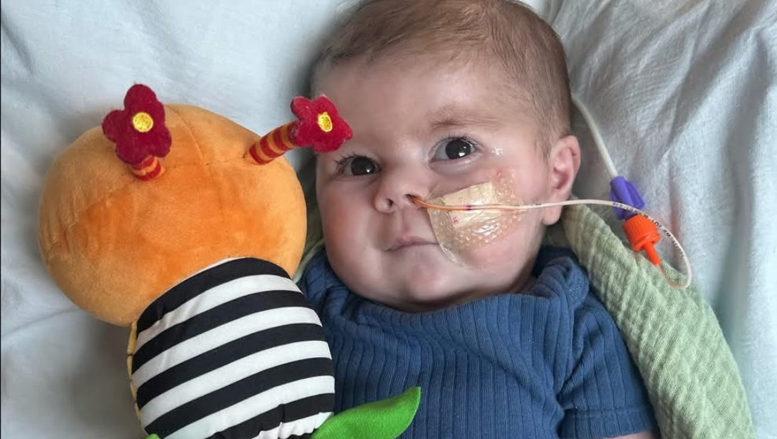 Fundraiser for Mallory Furlow by Danielle Nolan : Support Jon David's ...