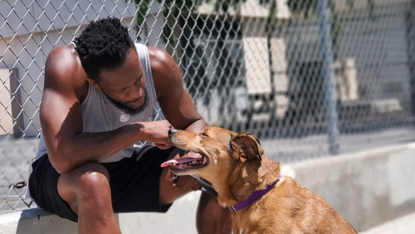 Fundraiser by Jason Young : Support Coco's Cremation Costs