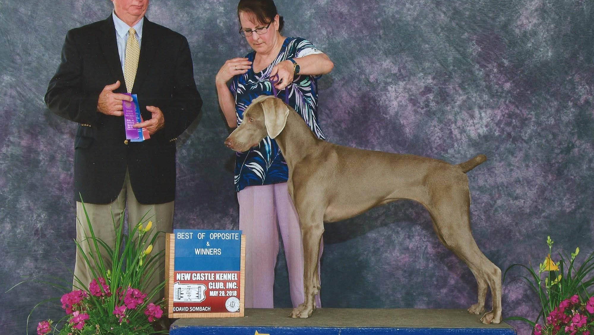 Fundraiser for Frances M Horvath by Georgianne Doyle : Support Tyne and ...