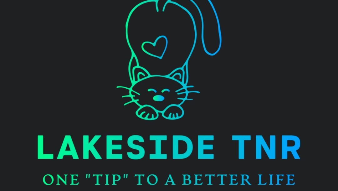 Fundraiser by Lakeside TNR : Kitten Shed