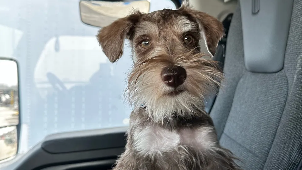 Fundraiser by CHARLES BURGE : Family in the Dark: Need Your Help