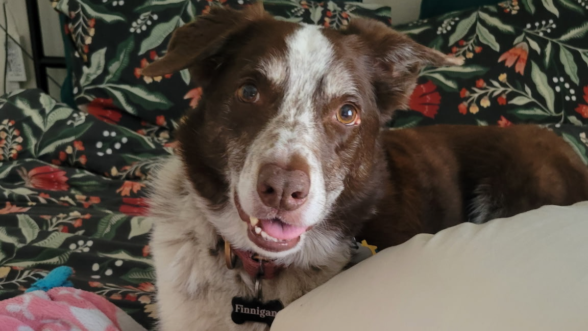 Fundraiser for Meghan Moore by Rebecca Keim : Help Contribute to ...