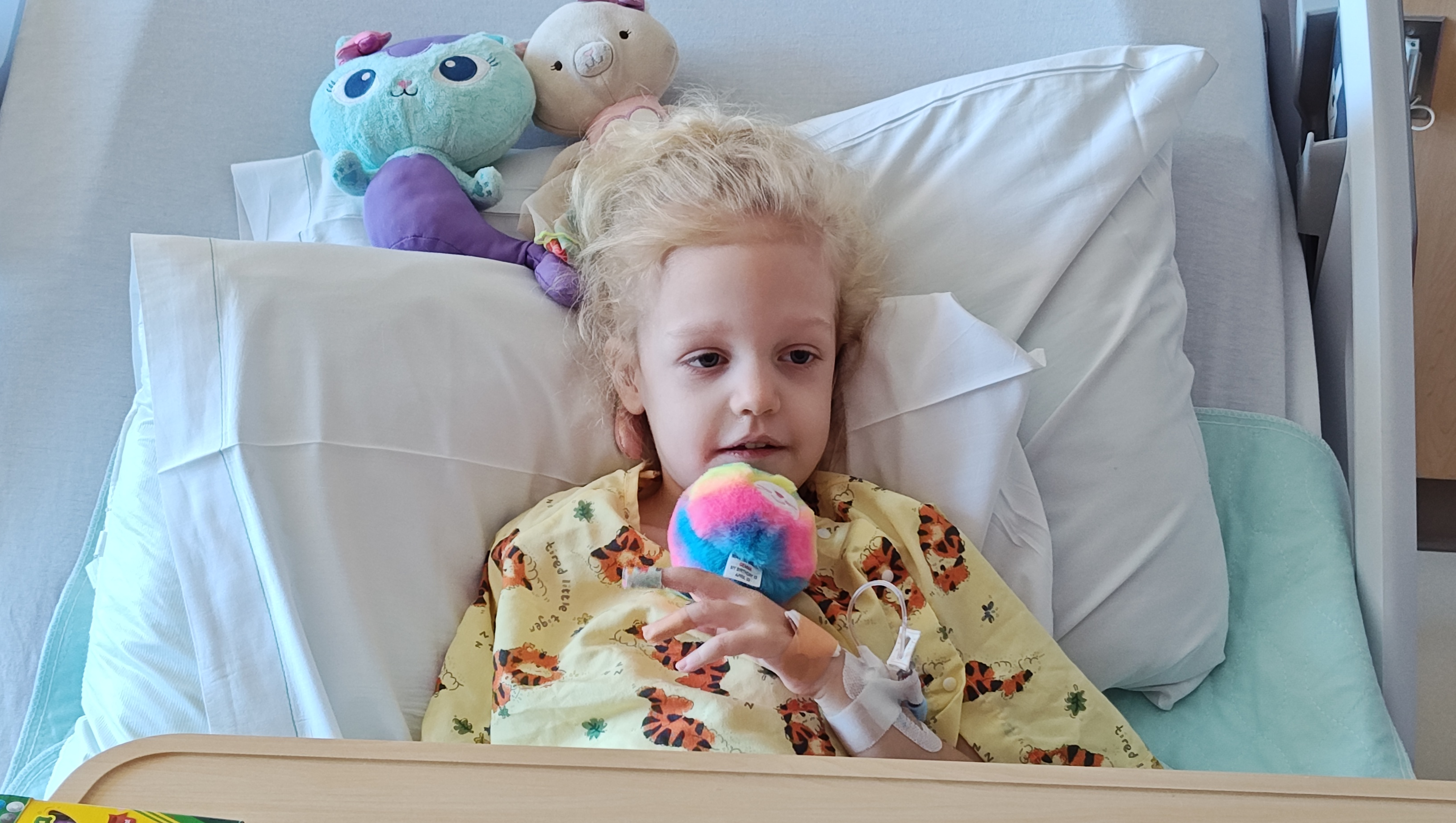 Fundraiser for Tessa Scott by Debbie Linde : Support River's Fight ...
