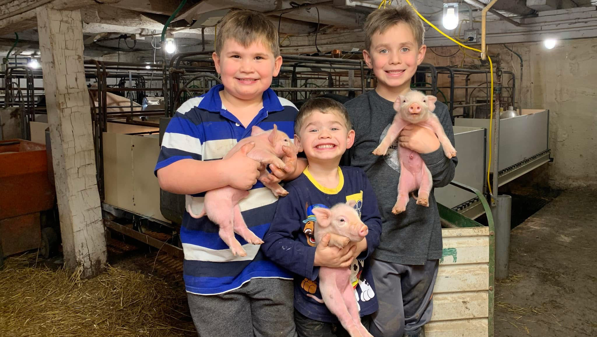 Fundraiser for Alan Thueme by Mike Tipper : Support for Thueme Hog Farm ...