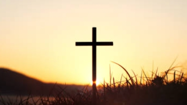 Fundraiser for Ashlee Wilson by Joyce Nolte : Help Tammy Save Her Home